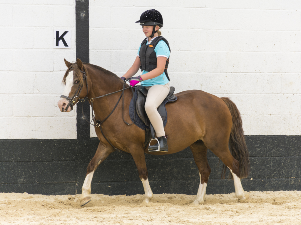 Deanswood Equestrian Centre